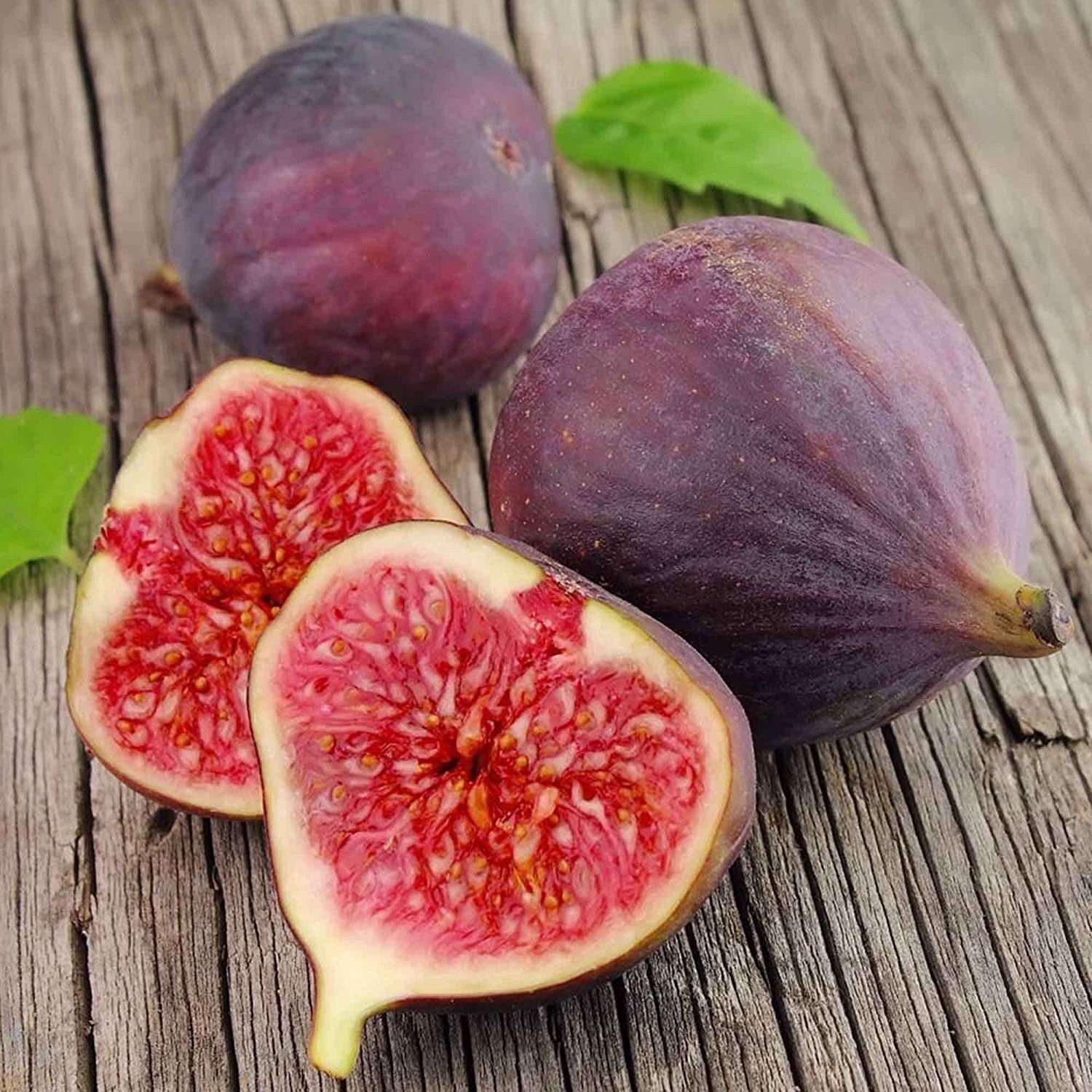 Ficus Carica Fig - 100 Seeds - Sweet Fruit Shrub Tree | South Mountain ...