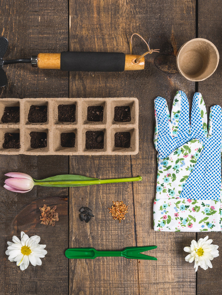 South Mountain Nursery